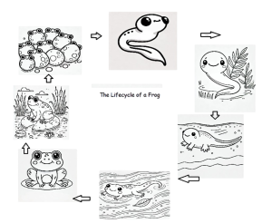 14 Tadpole Coloring Pages - Download & Print for FREE